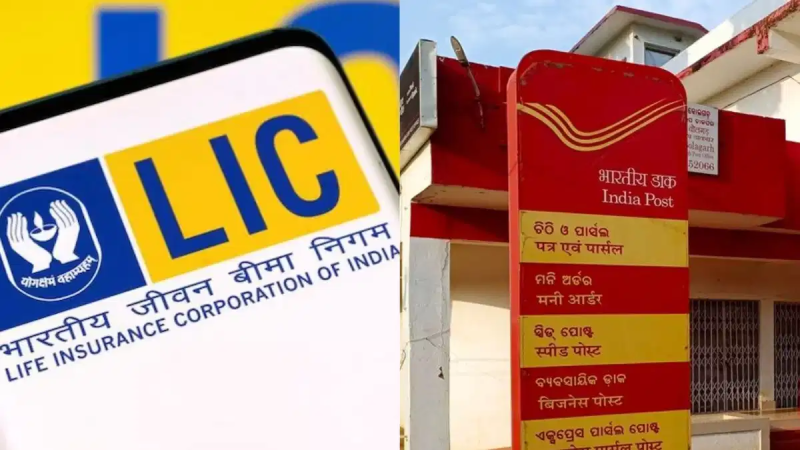 Difference between Post Office and LIC schemes, know which scheme is ...
